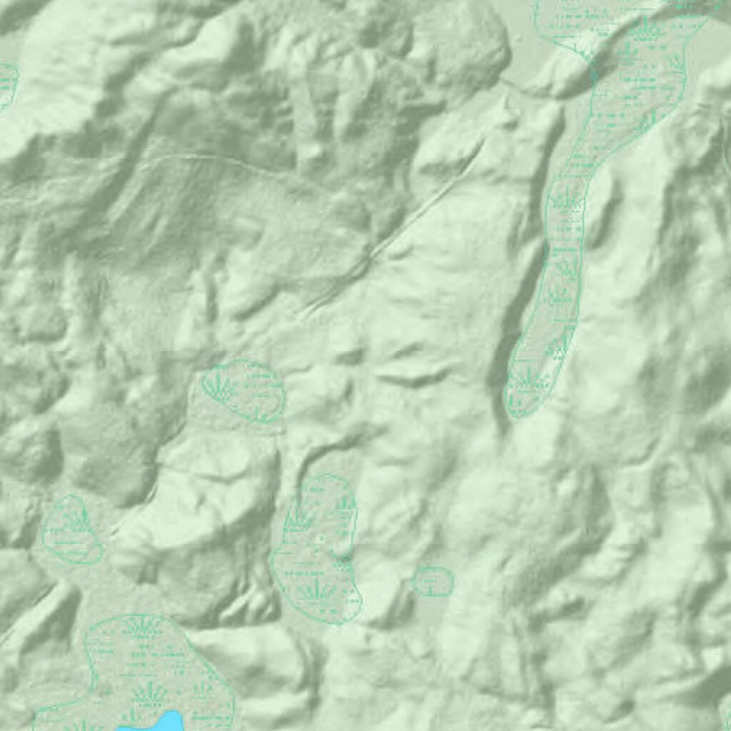 Huron-Manistee National Forest - Hoist Lake Foot Travel Area Map by US ...