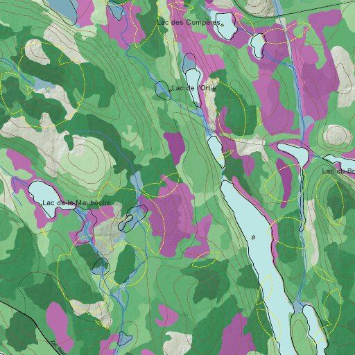 FN06VO Abitibi--Temiscamingue ( Hunt-A-Moose ) Map by Hunt-A-Moose ...