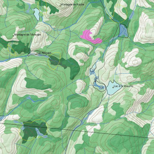 FN26DE Petit lac des Cedres ( Hunt-A-Moose ) Map by Hunt-A-Moose ...