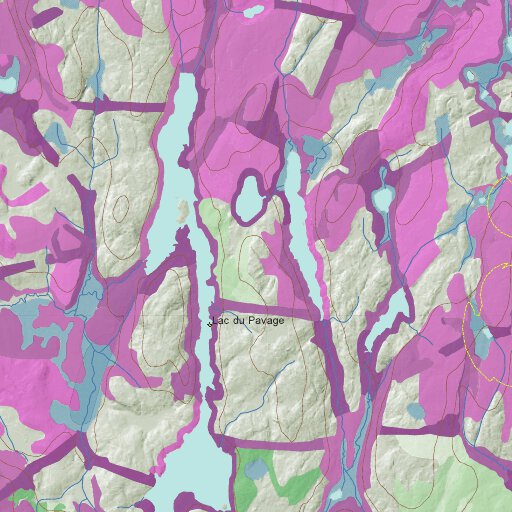 FO50GC Lac Louis ( Hunt-A-Moose ) Map by Hunt-A-Moose | Avenza Maps