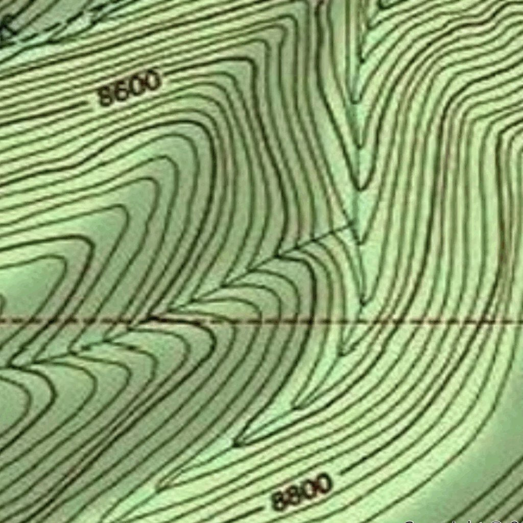 2023 Corduroy And 2022 Fish Fires Map by Arizona Mushroom Society ...