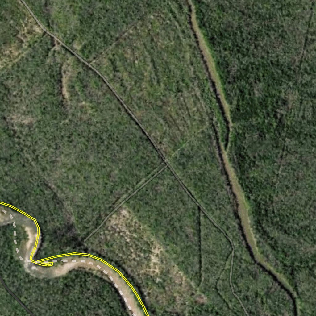 WeeTee State Forest WMA Map by Manchester State Forest | Avenza Maps