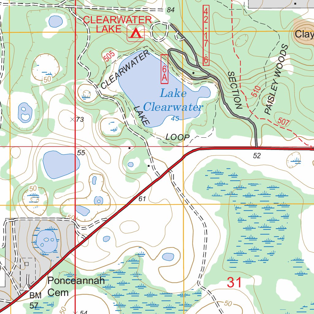 Paisley, FL FSTopo Legacy Map by US Forest Service - Topo | Avenza Maps