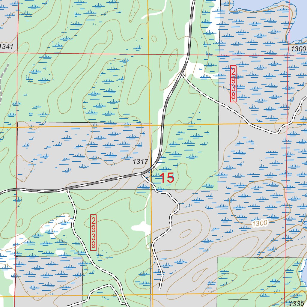 Raven Lake, MN FSTopo Legacy Map by US Forest Service - Topo | Avenza Maps