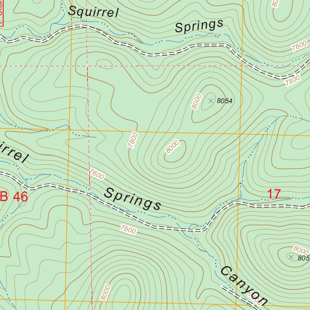 Squirrel Springs Canyon, NM FSTopo Legacy Map by US Forest Service ...