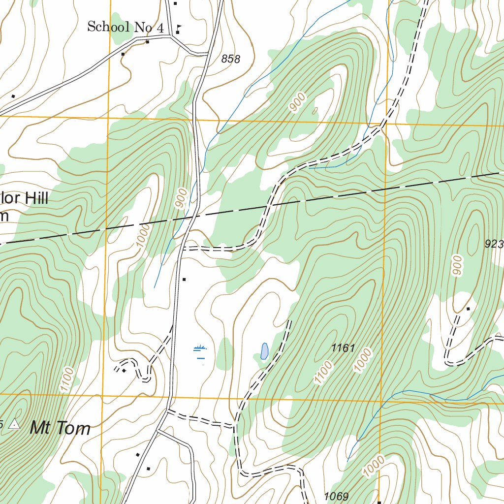 West Pawlet, NY - VT FSTopo Legacy Map by US Forest Service - Topo ...