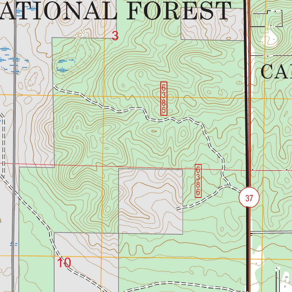 Baldwin, MI FSTopo Map by US Forest Service - Topo | Avenza Maps