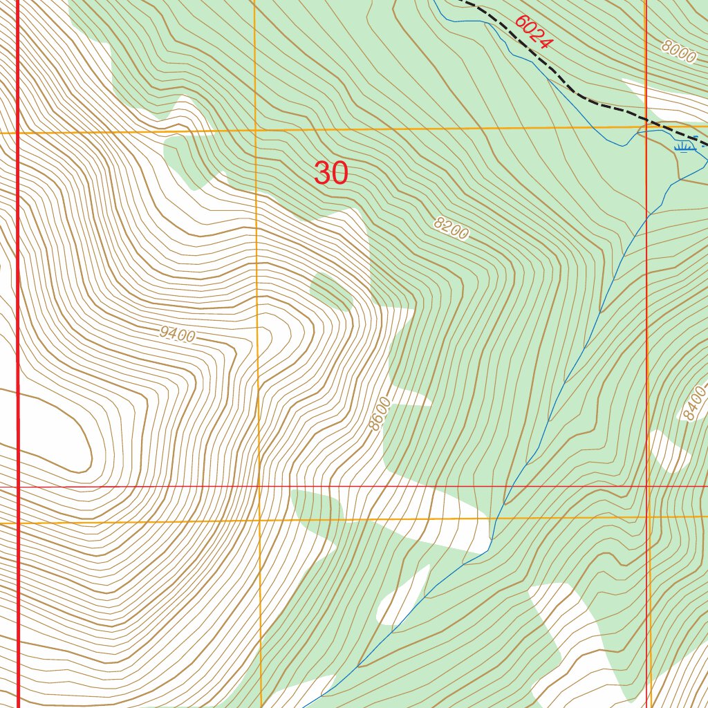 Big Horn Mountain, MT FSTopo Map by US Forest Service - Topo | Avenza Maps