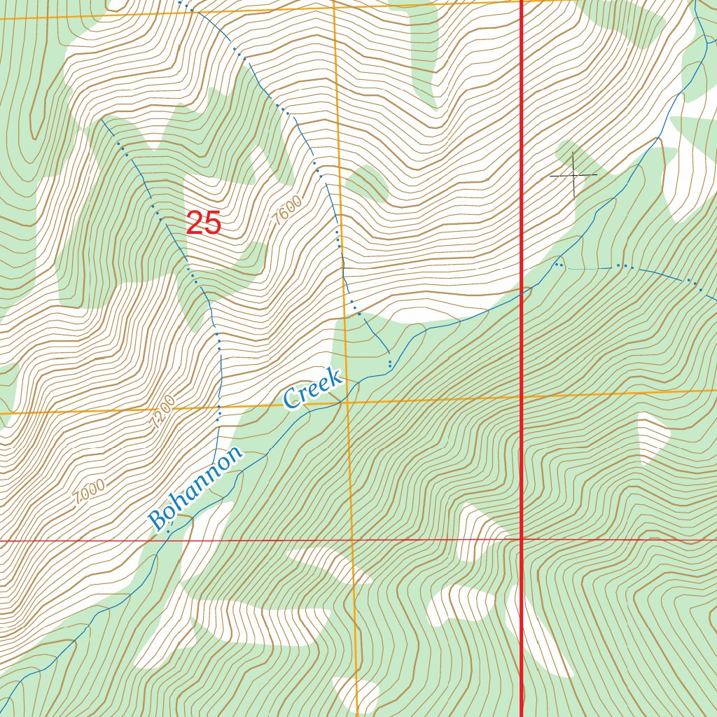 Bohannon Spring, ID-MT FSTopo Map by US Forest Service - Topo | Avenza Maps