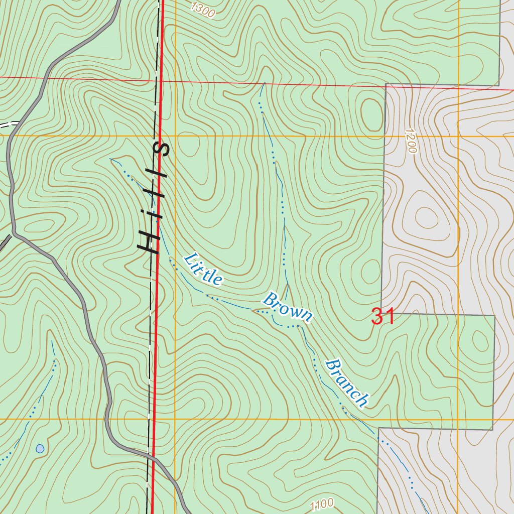 Brownbranch, MO FSTopo Map by US Forest Service - Topo | Avenza Maps