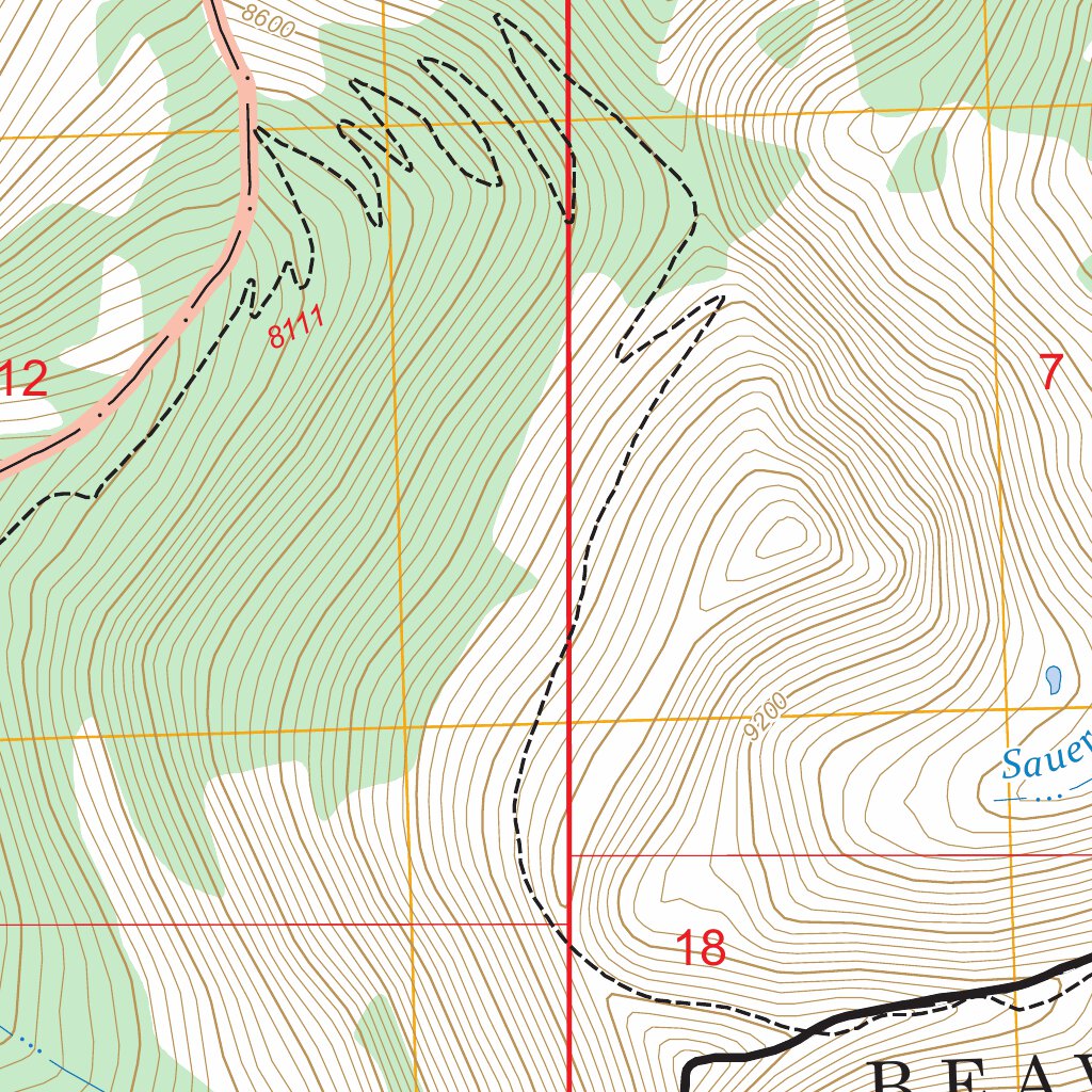 Carpp Ridge, MT FSTopo Map by US Forest Service - Topo | Avenza Maps