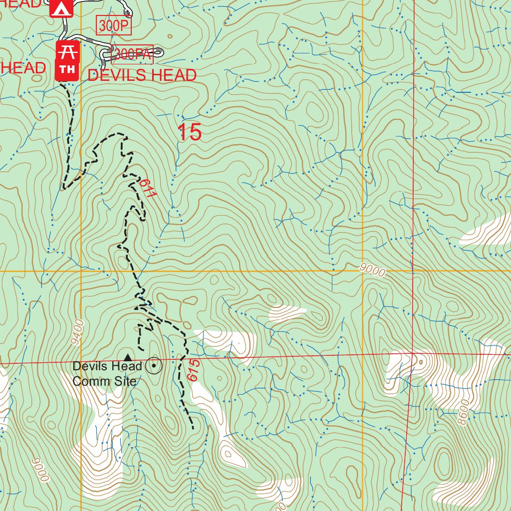 Devils Head, CO FSTopo Map by US Forest Service - Topo | Avenza Maps