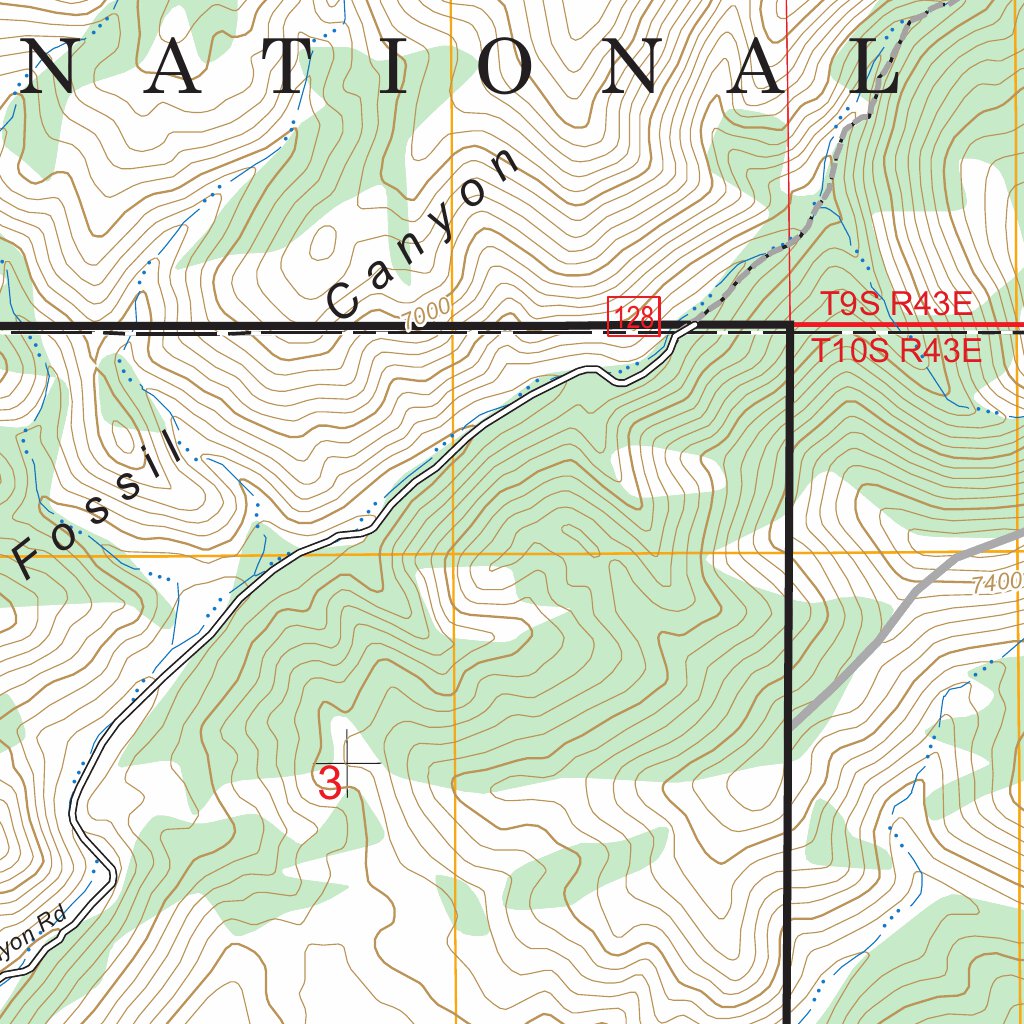 Fossil Canyon, ID FSTopo Map by US Forest Service - Topo | Avenza Maps
