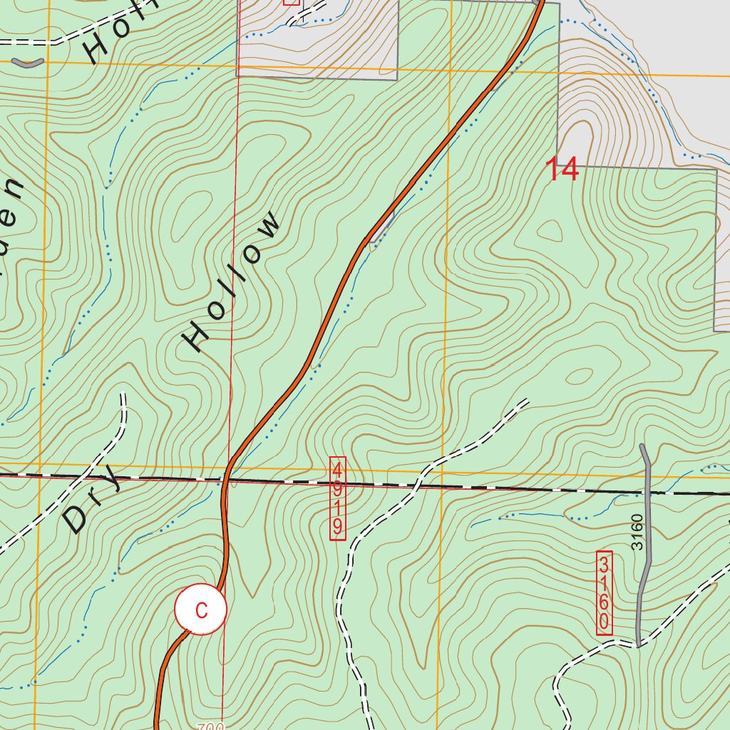 Handy, MO FSTopo Map by US Forest Service - Topo | Avenza Maps
