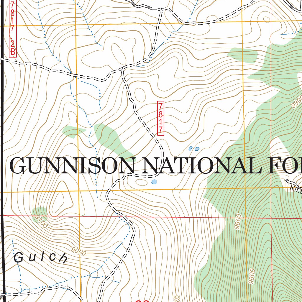 Houston Gulch, CO FSTopo Map by US Forest Service - Topo | Avenza Maps