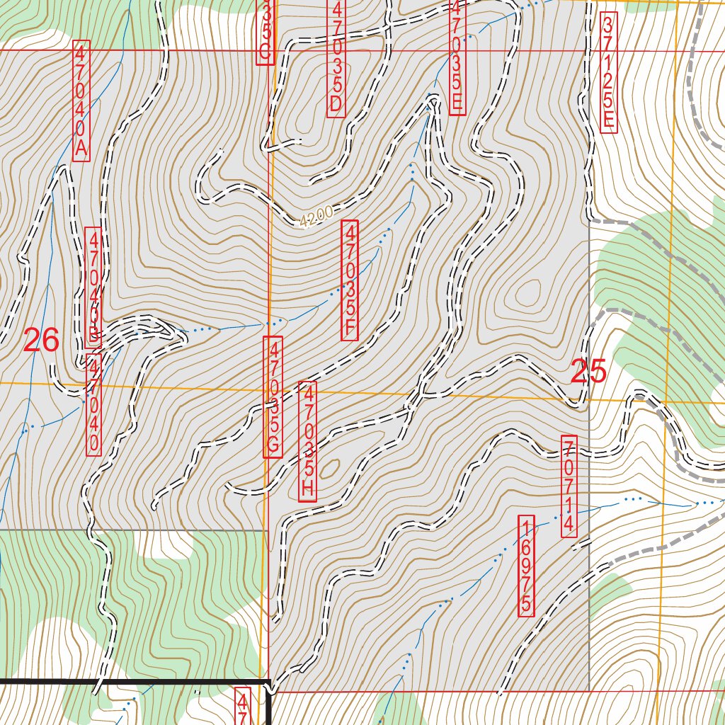 Idaho Gulch, MT FSTopo Map by US Forest Service - Topo | Avenza Maps