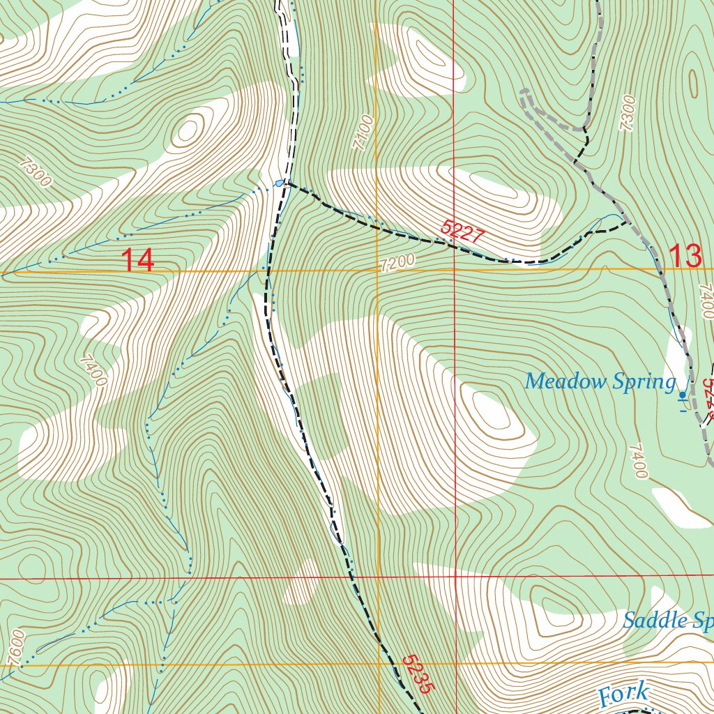 Johnson Creek, ID FSTopo Map by US Forest Service - Topo | Avenza Maps