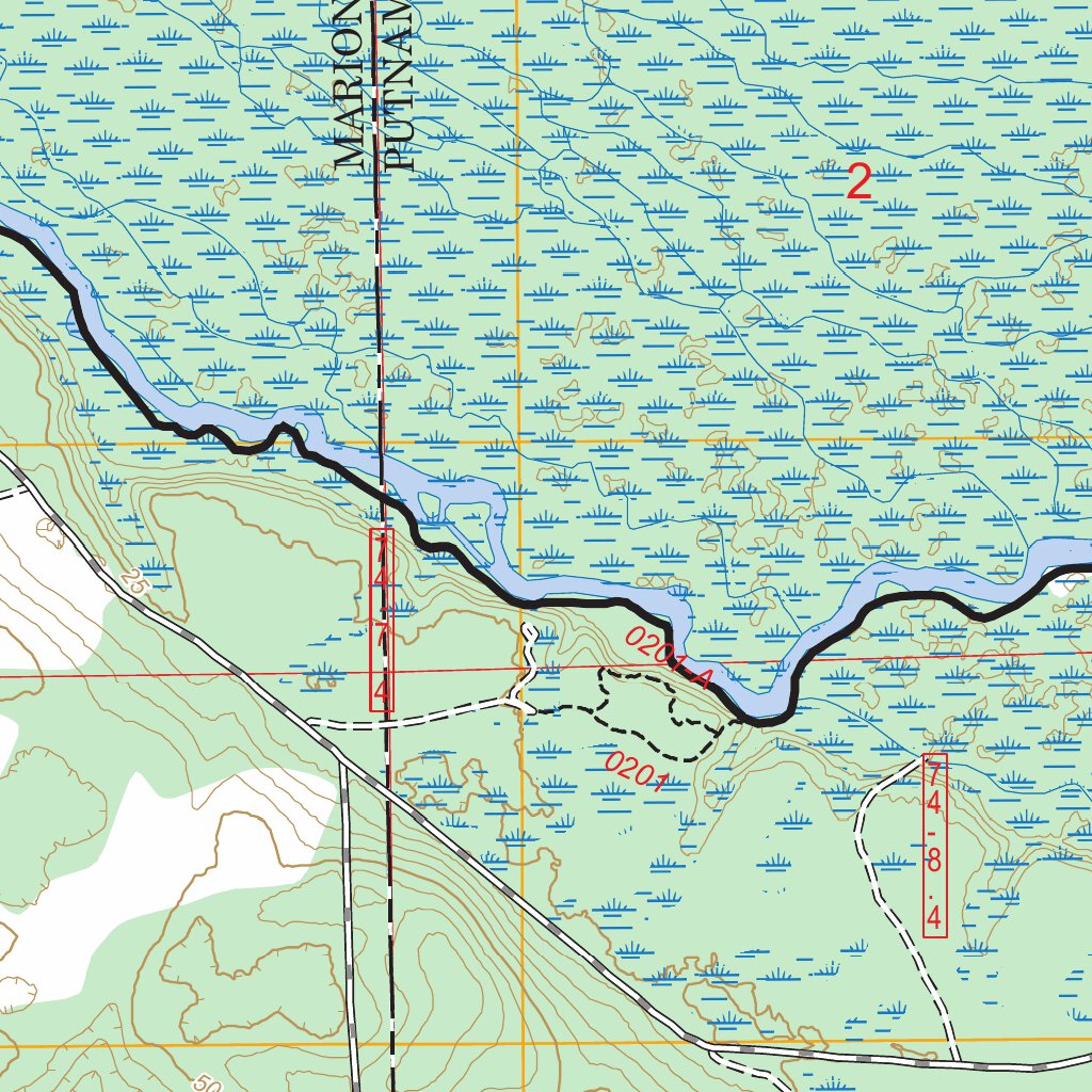 Lake Delancy, FL FSTopo Map by US Forest Service - Topo | Avenza Maps