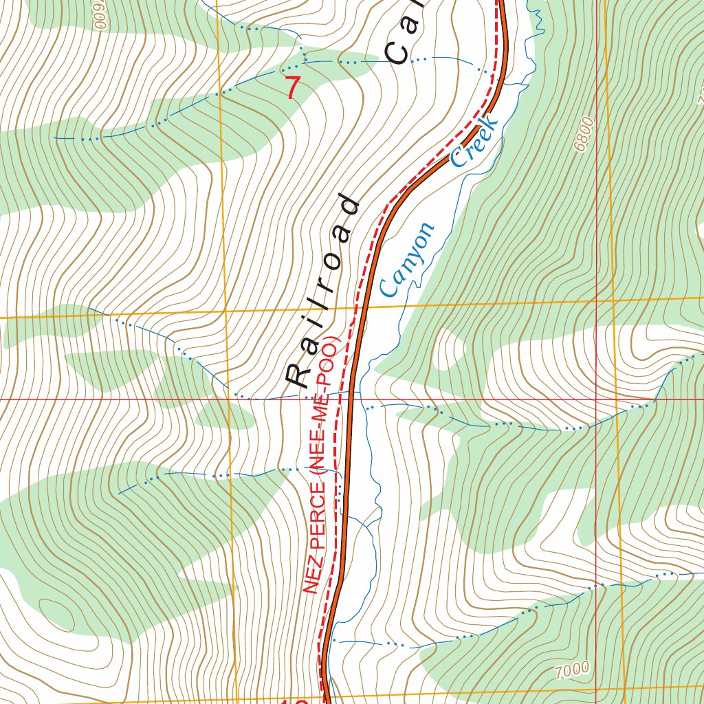 Leadore, ID FSTopo Map by US Forest Service - Topo | Avenza Maps