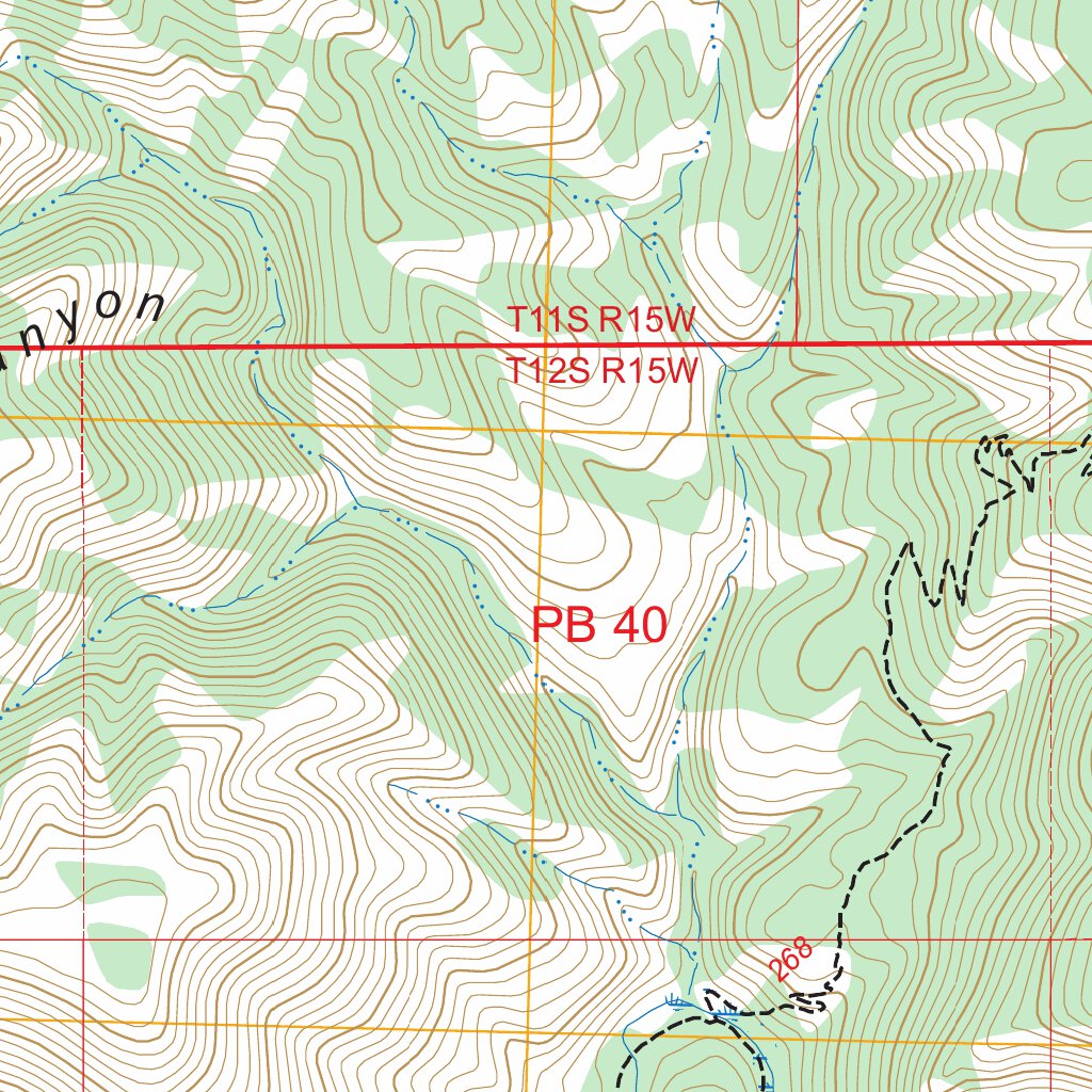 Lilley Mountain, NM FSTopo Map by US Forest Service - Topo | Avenza Maps
