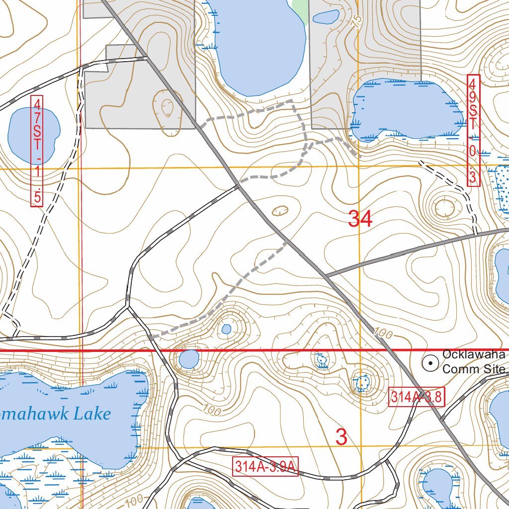 Lynne, FL FSTopo Map by US Forest Service - Topo | Avenza Maps