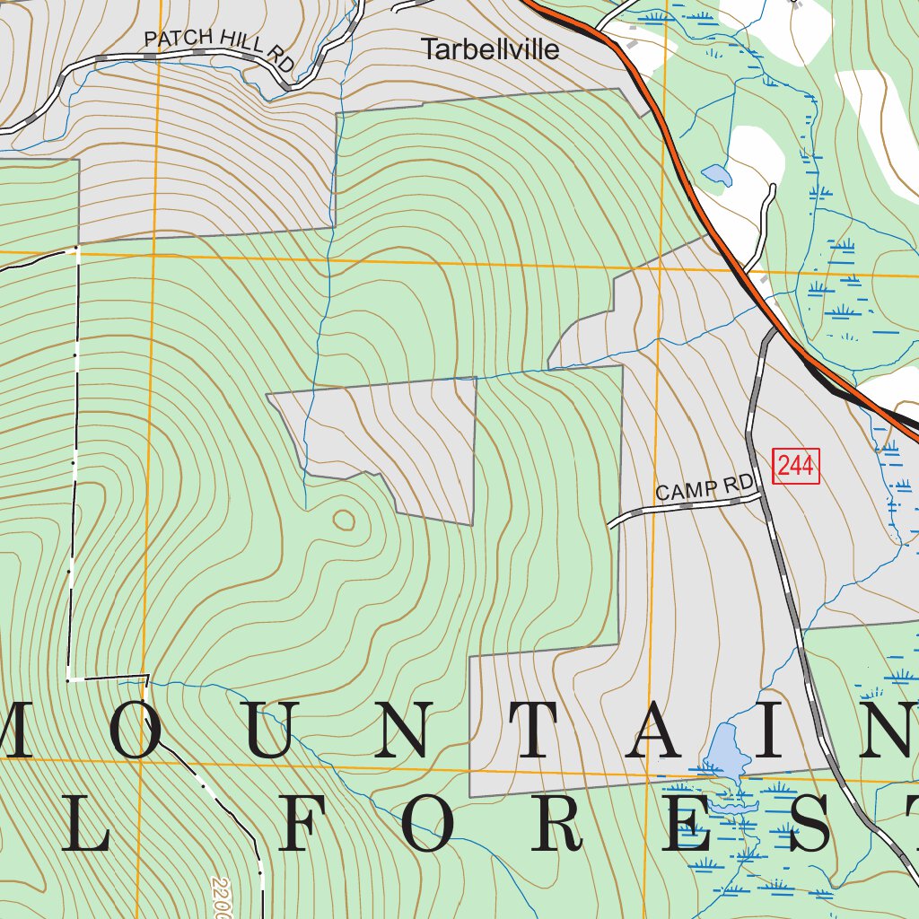 Mount Holly, VT FSTopo Map by US Forest Service - Topo | Avenza Maps