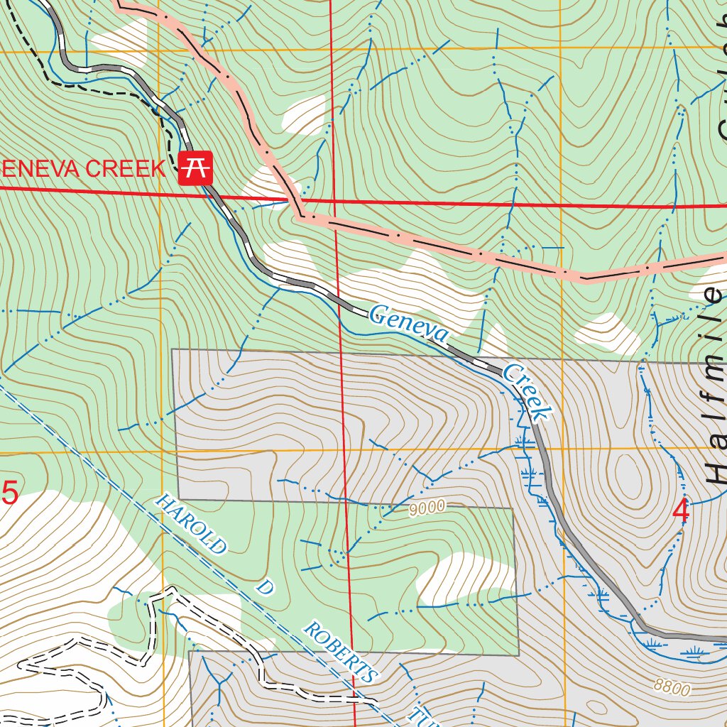 Mount Logan, CO FSTopo Map by US Forest Service - Topo | Avenza Maps