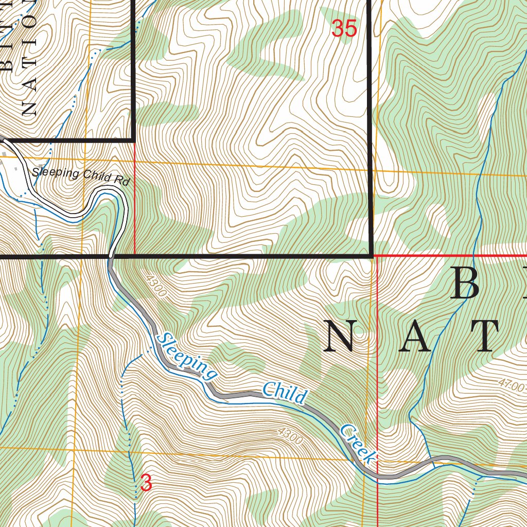 Mountain House, MT FSTopo Map by US Forest Service - Topo | Avenza Maps