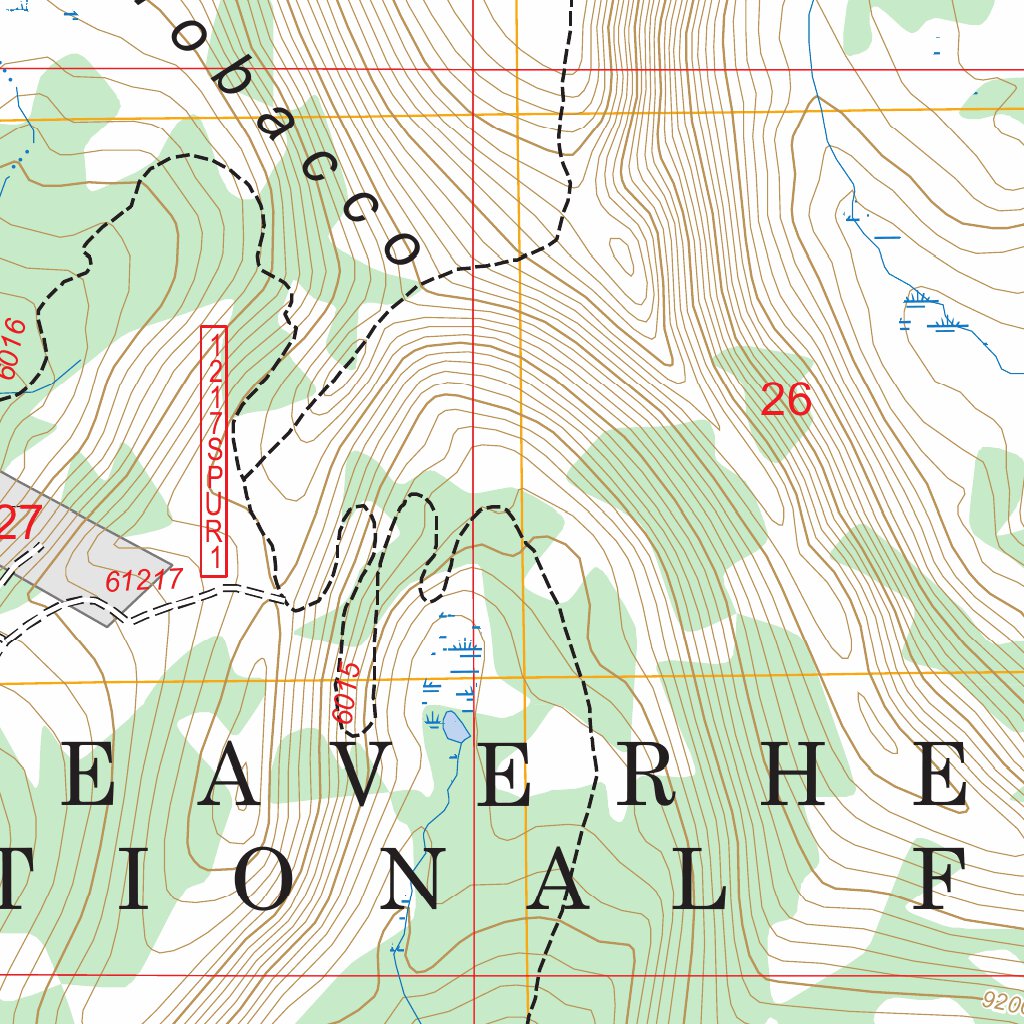 Ramshorn Mountain, MT FSTopo Map by US Forest Service - Topo | Avenza Maps