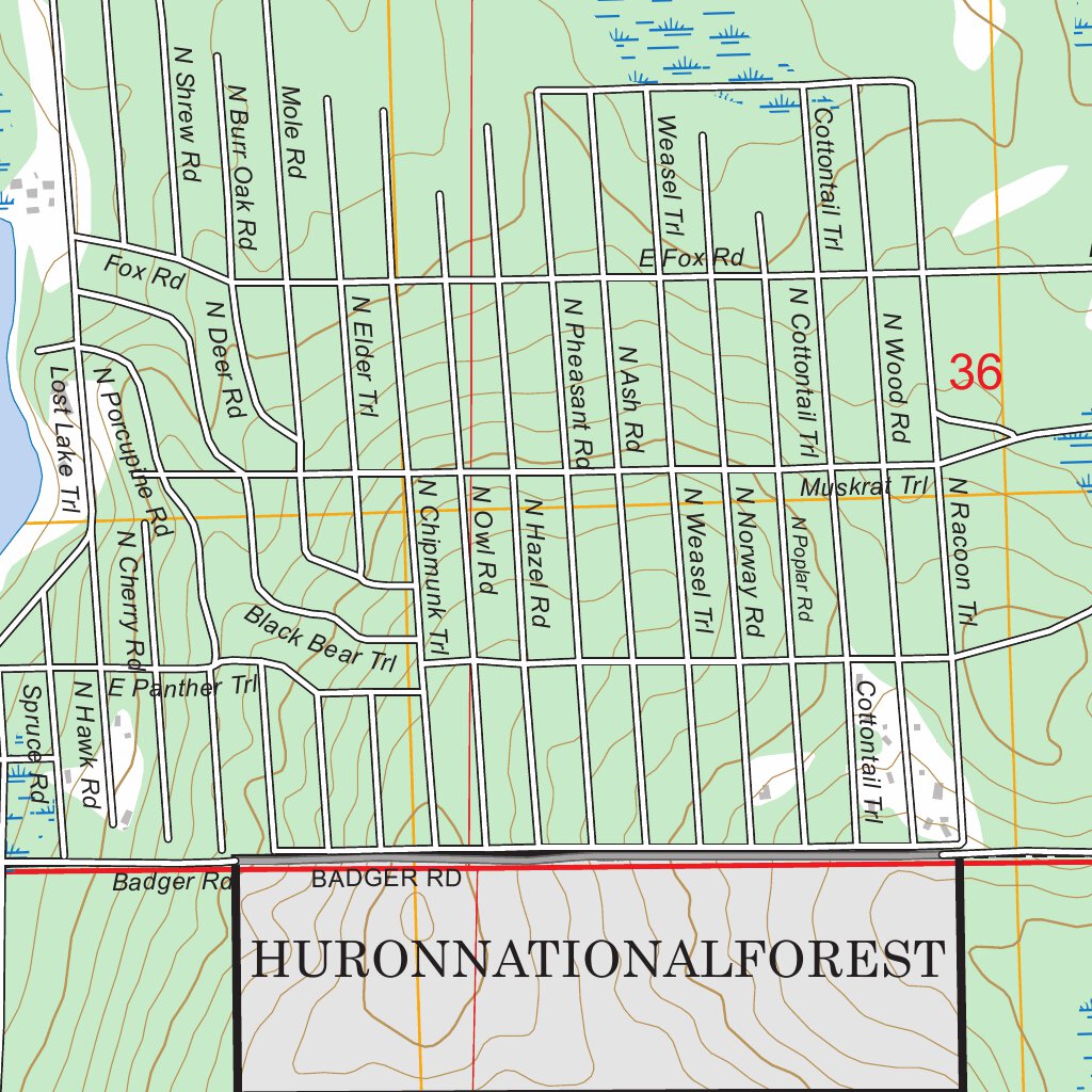 Spruce, MI FSTopo Map by US Forest Service - Topo | Avenza Maps