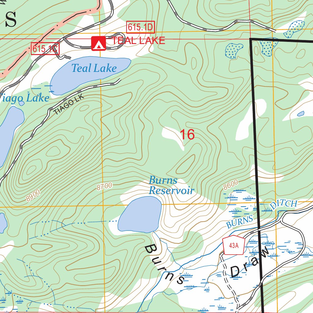 Teal Lake, CO FSTopo Map by US Forest Service - Topo | Avenza Maps