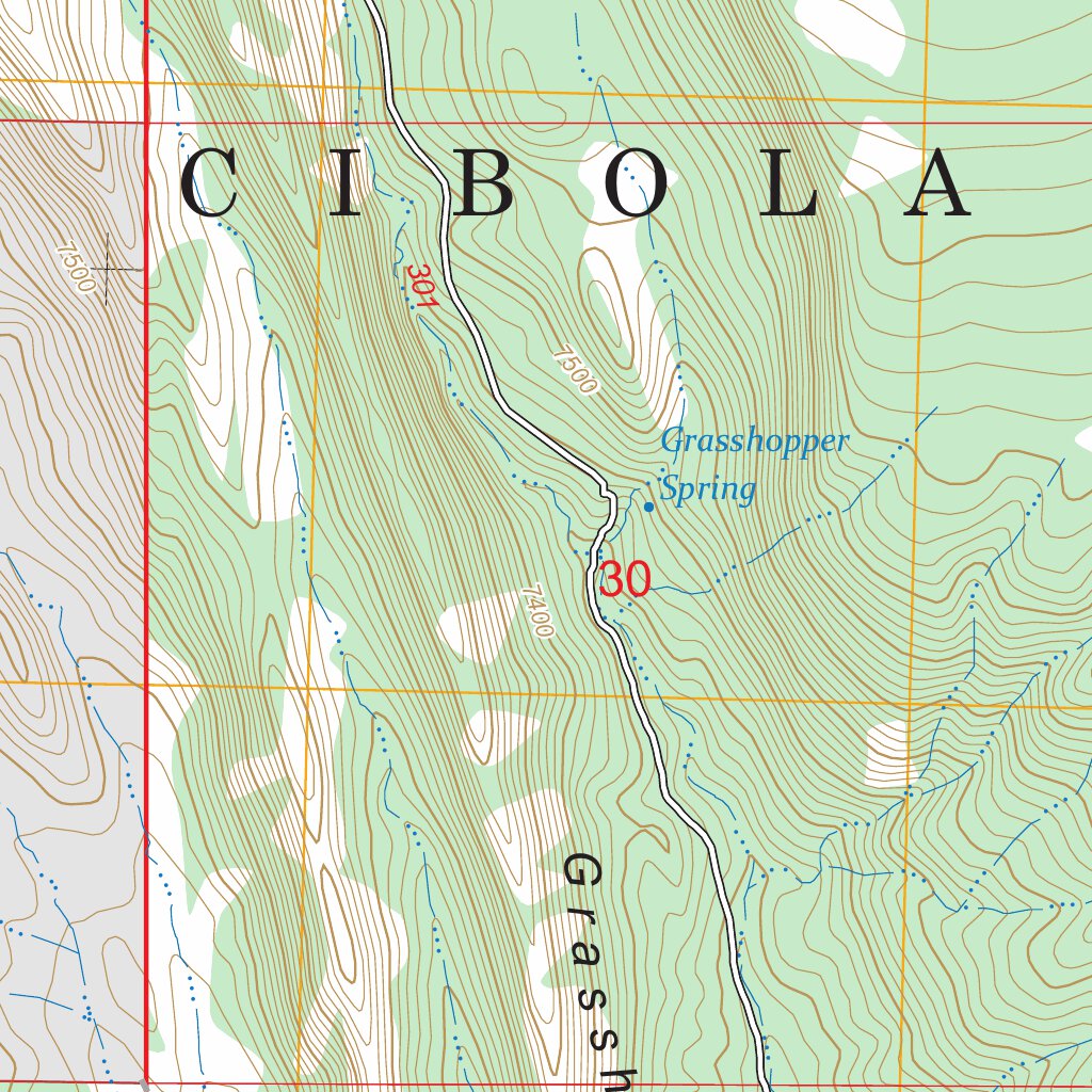 Upper Nutria, NM FSTopo Map by US Forest Service - Topo | Avenza Maps