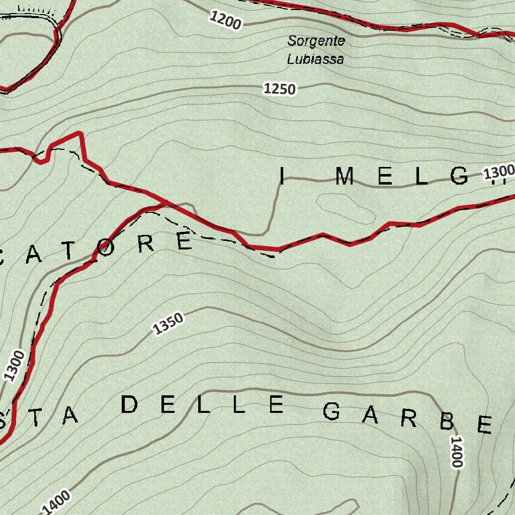 Monte Molinatico 10K Map by Boreal Mapping | Avenza Maps