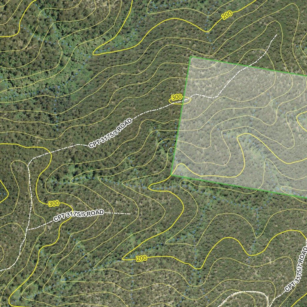 Dampier State Forest 2024 - Complete (Bundle) Map by Athena Spatial ...