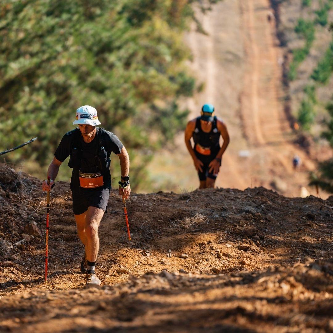 Buffalo Stampede Marathon 2025 Map by SingleTrack Events | Avenza Maps