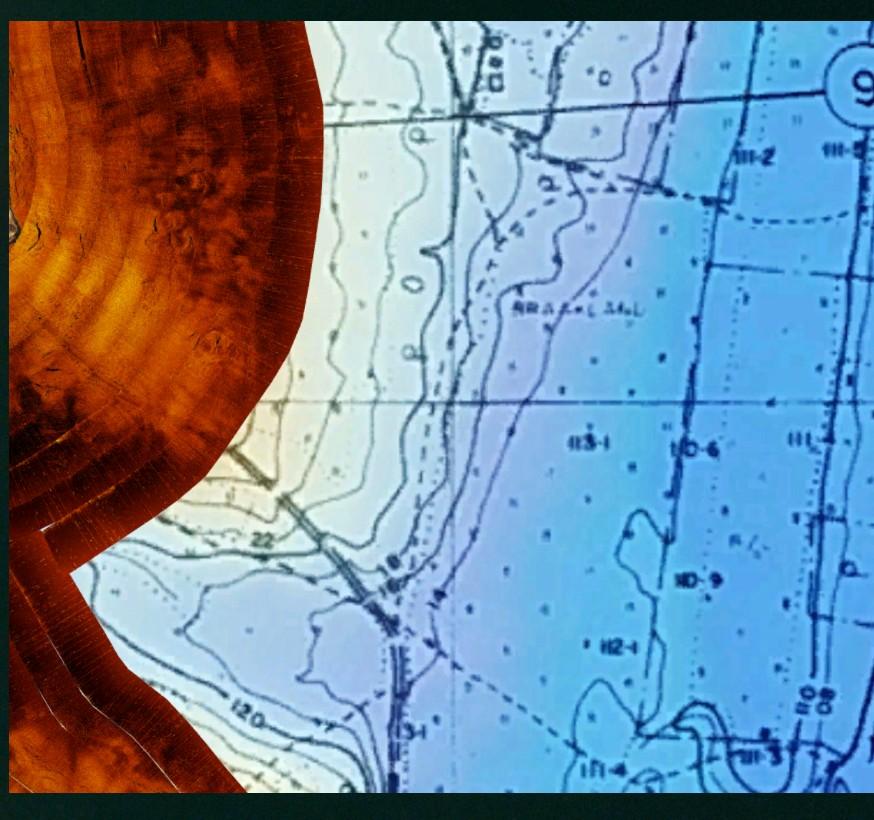 INANDA DAM MSINSI 04A Map by FishTec | Avenza Maps