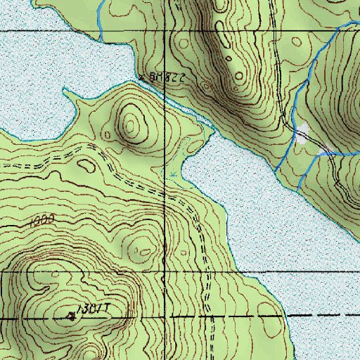 (46069a1) Page 028 Chamberlain Lake Map by BaseImage Publishing ...