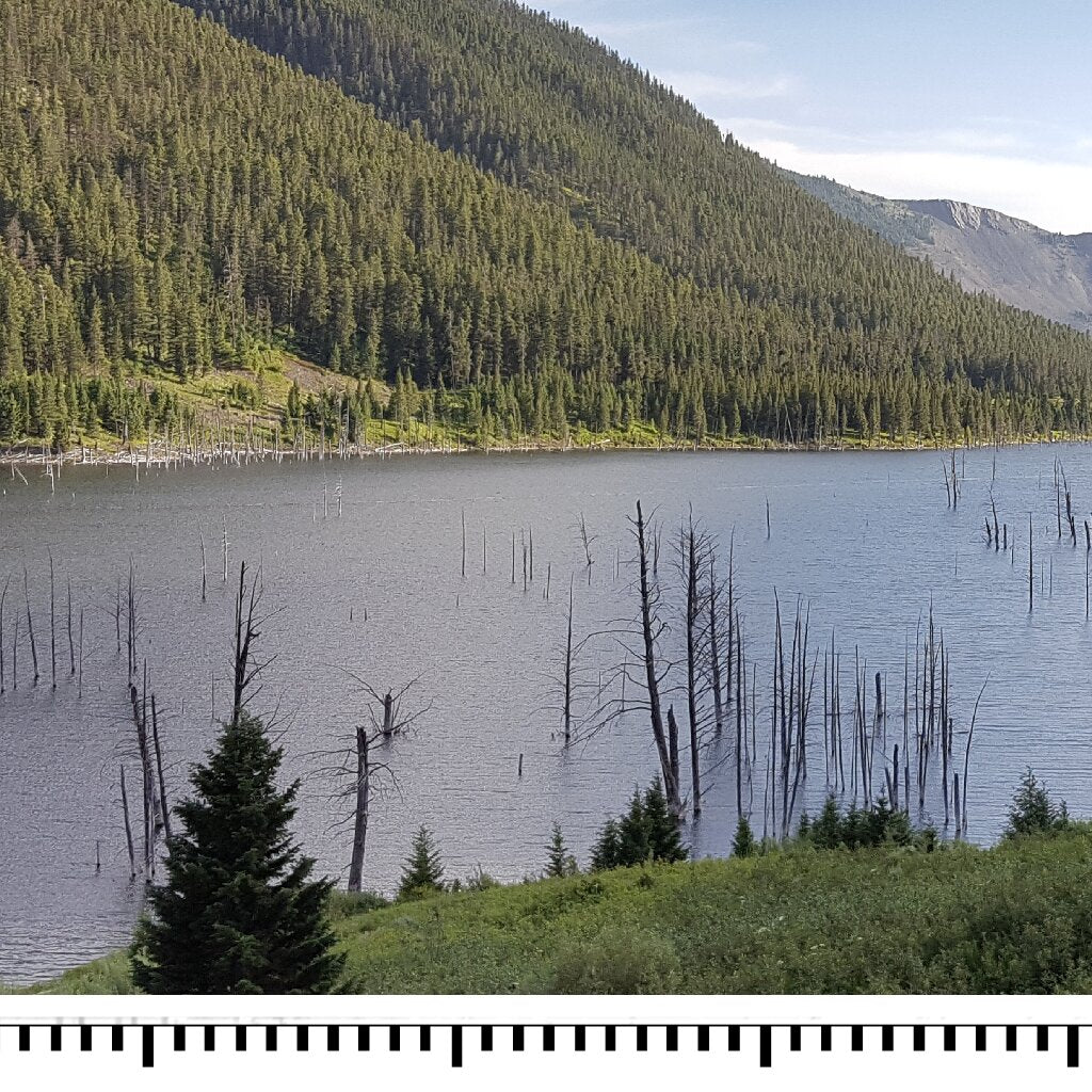 Earthquake Lake base MLM Map by Constellation Services | Avenza Maps