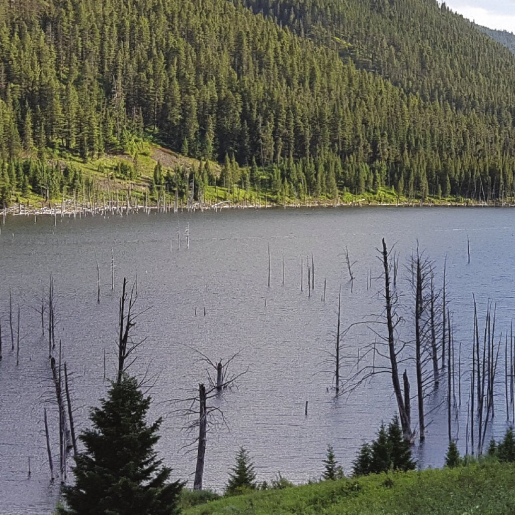 Earthquake image MLM Map by Constellation Services | Avenza Maps