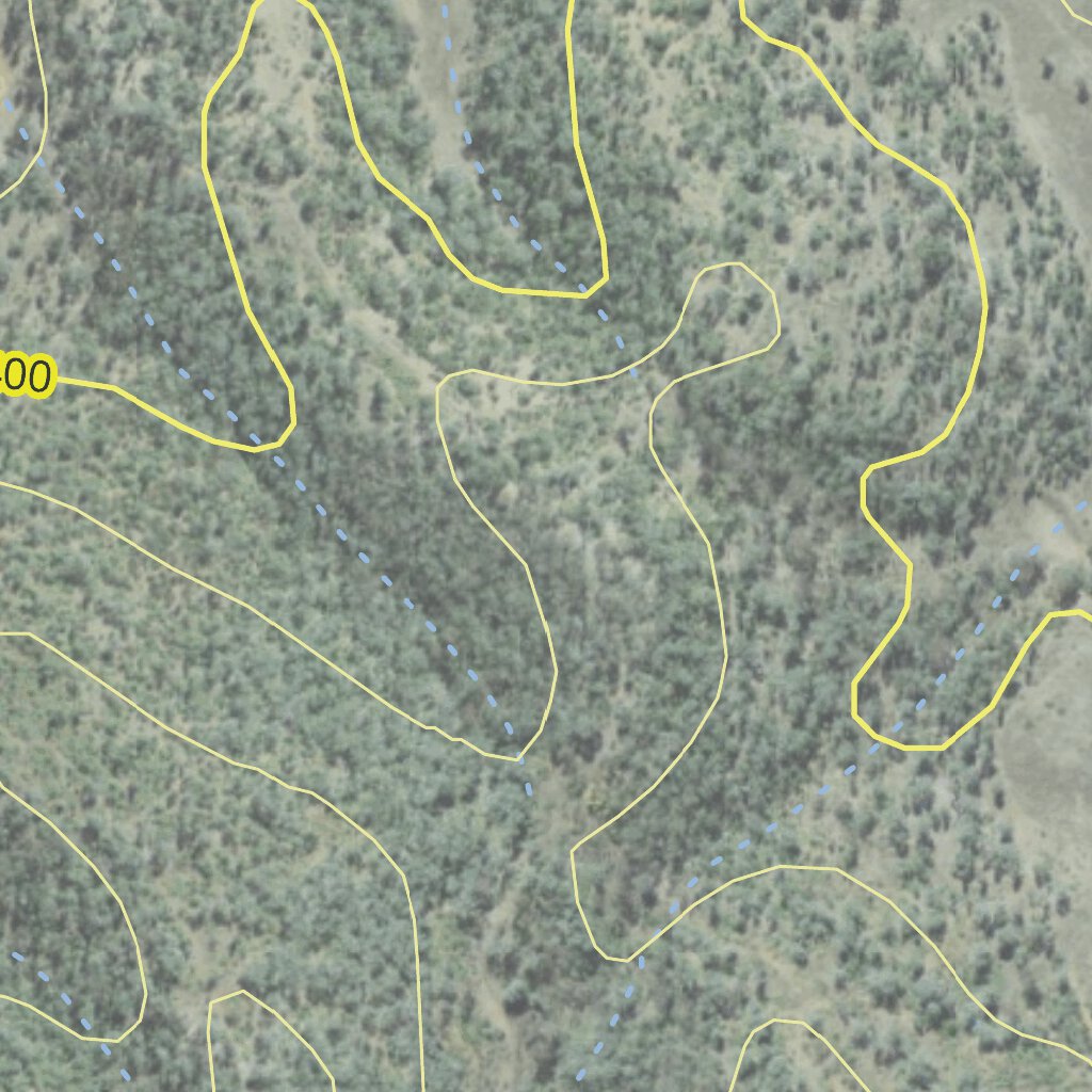 Bingara State Forest 2024 Map by Athena Spatial | Avenza Maps