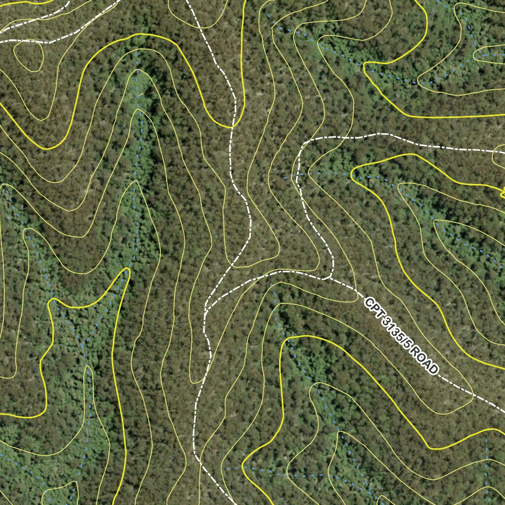 Dampier State Forest 2024 - East Map by Athena Spatial | Avenza Maps