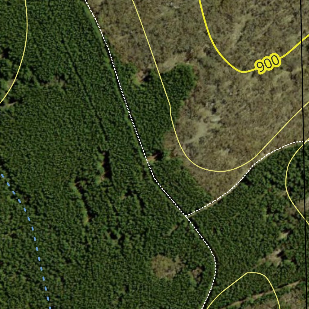Roseberg State Forest Map by Athena Spatial | Avenza Maps