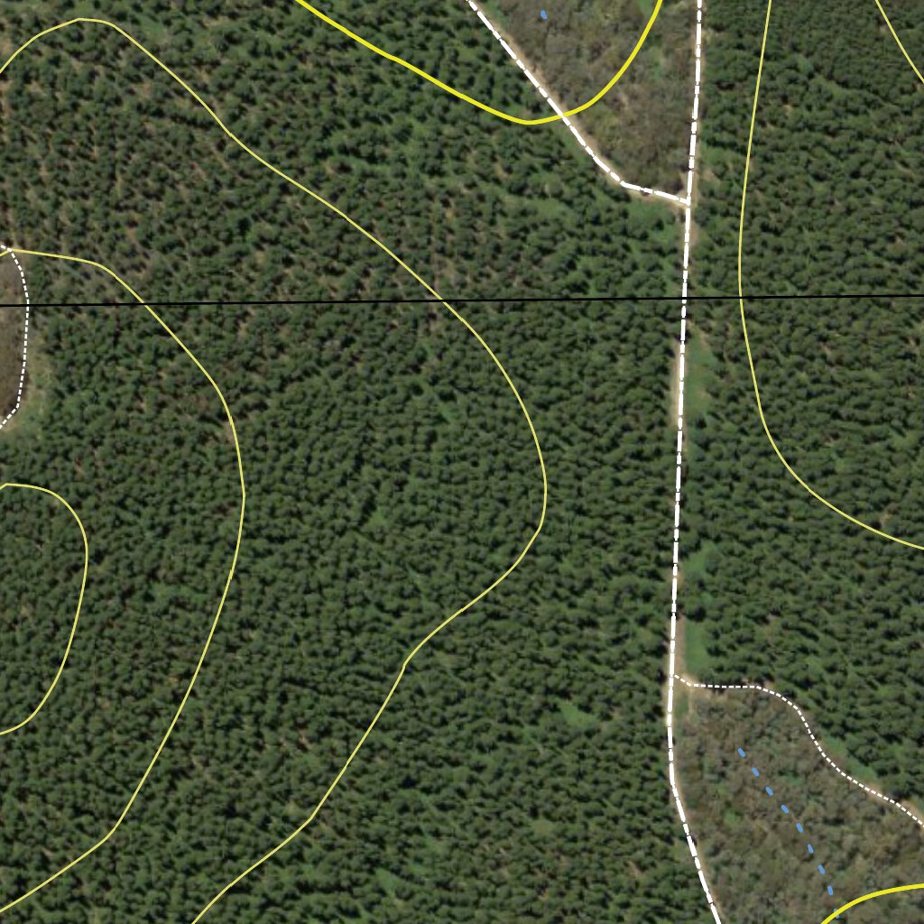 Bago State Forest - Southwest Map by Athena Spatial | Avenza Maps