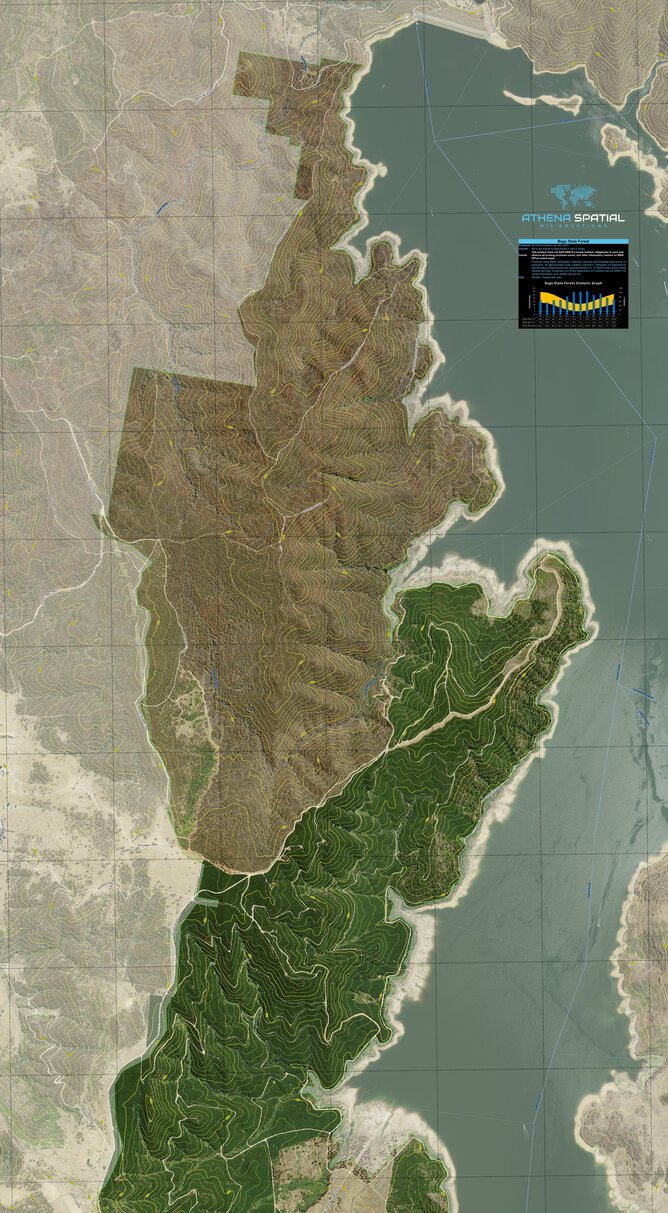 Bago State Forest - North Map by Athena Spatial | Avenza Maps