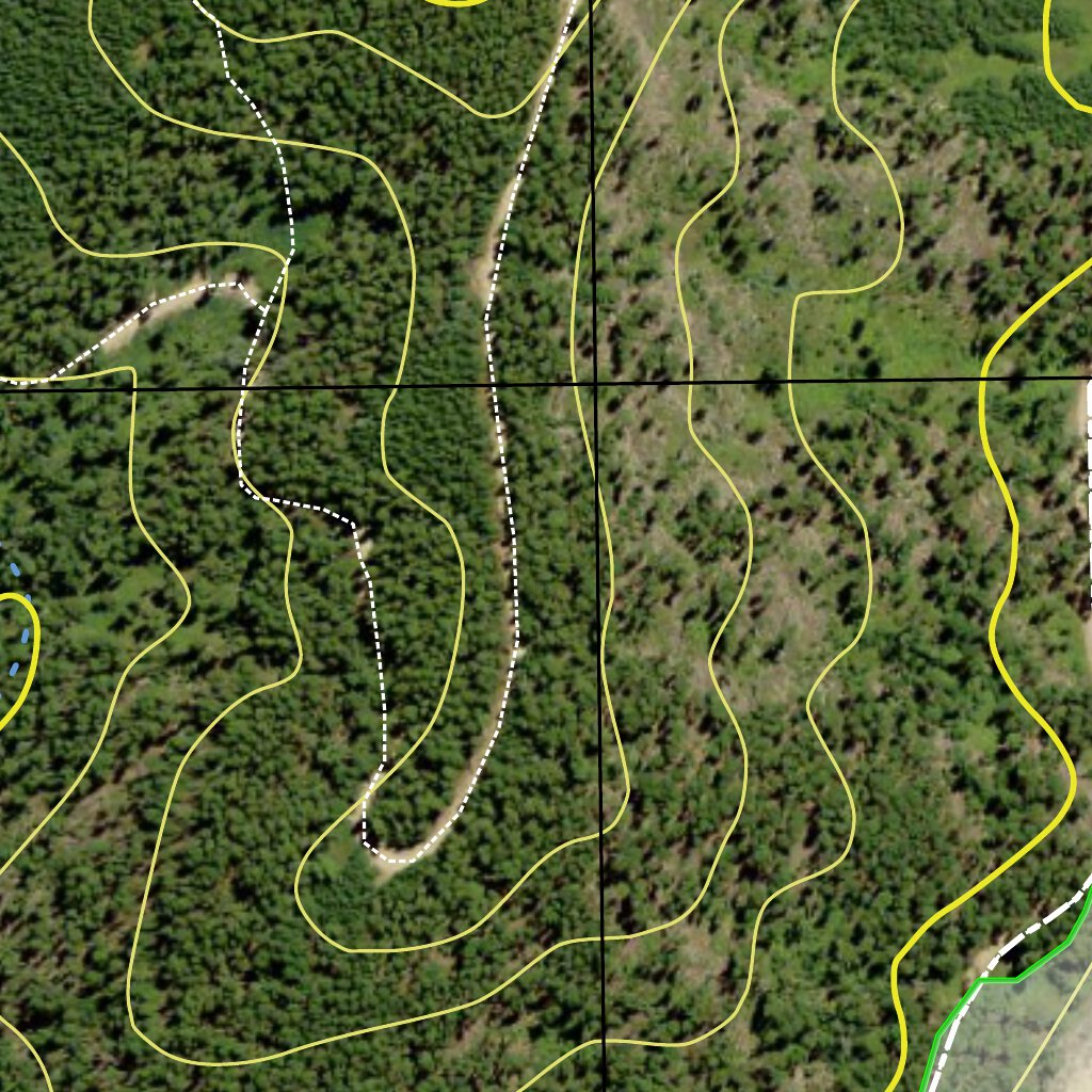 Bago State Forest - North Map by Athena Spatial | Avenza Maps