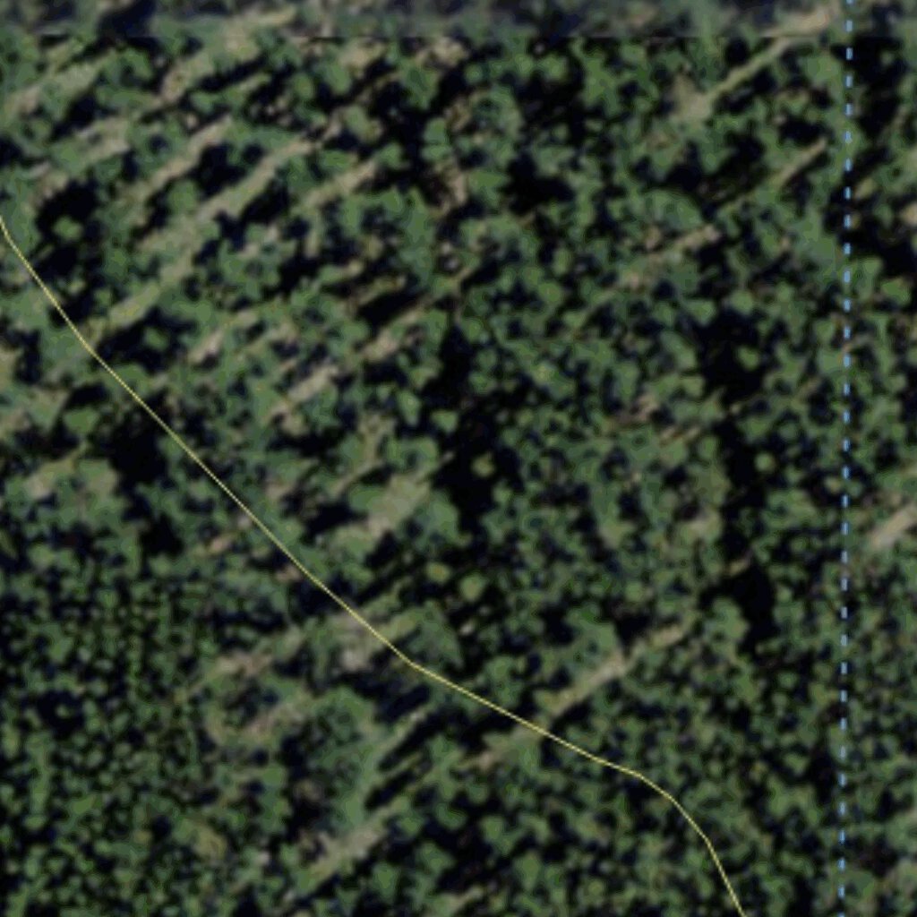 Bombala State Forest 2024 Map by Athena Spatial | Avenza Maps