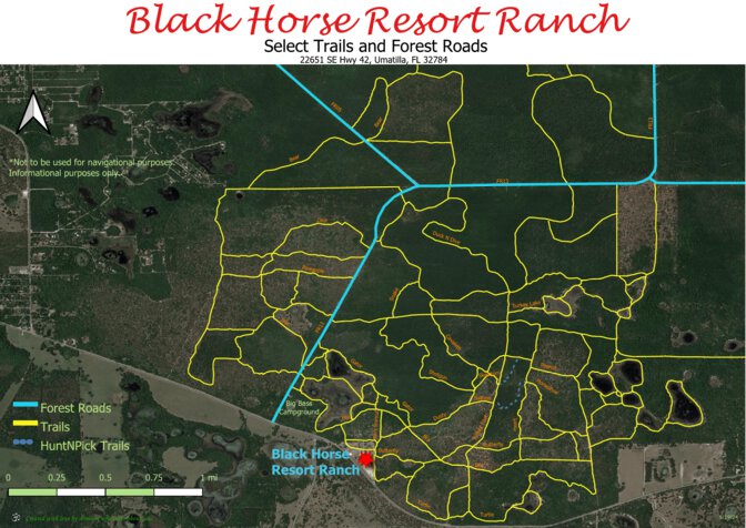 Black Horse Resort Ranch - Ocala National Forest Map by Be Here Now ...
