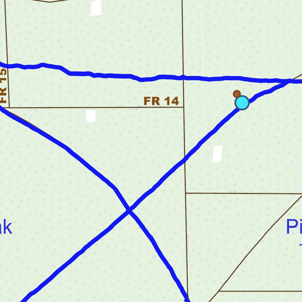 Withlacoochee State Forest - Citrus Tract Horse Trails Map by Be Here ...