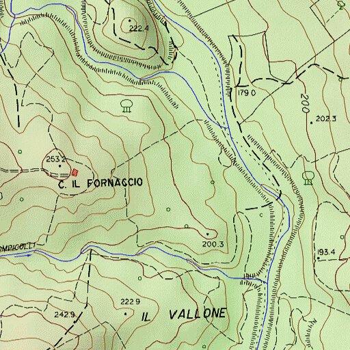 Il Castellaccio T10K Map by Boreal Mapping | Avenza Maps
