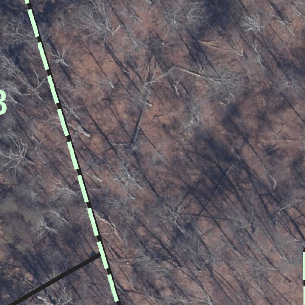 BLT Tilcon Line B Preserve: 41_TLB Map by Branford Land Trust | Avenza Maps